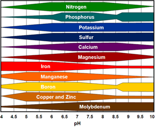 How important is soil ph level and what is the best way to measure it ...