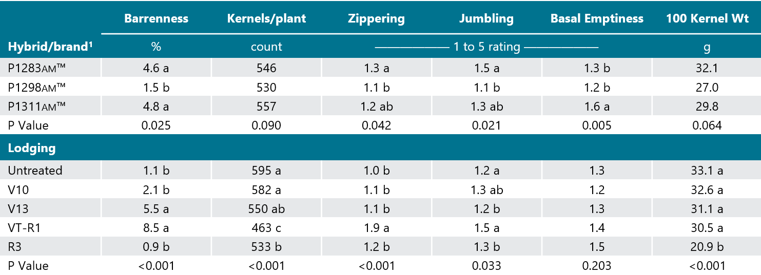 Has Corn Response to Root Lodging Changed Over Time? | Pioneer® Seeds