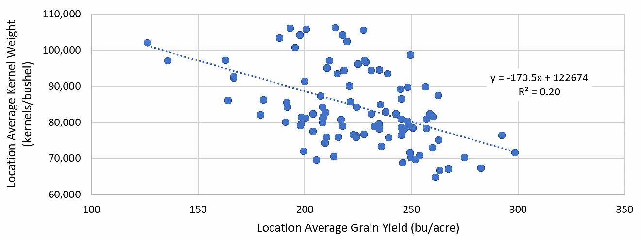 How Kernel Weight Varies by Hybrid in Iowa | Pioneer® Seeds