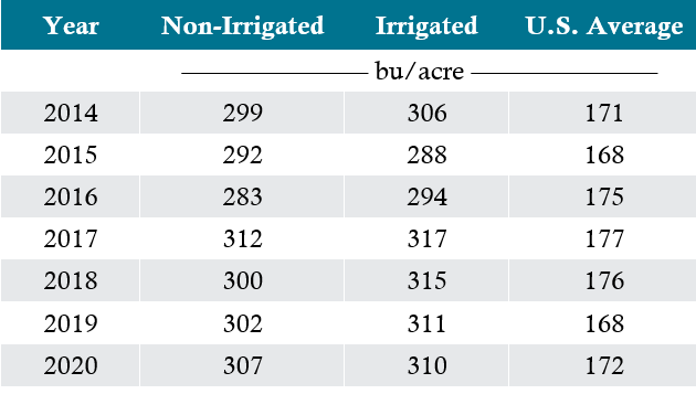 Managing Corn for Greater Yield Potential: 4 Lessons From 2020 NCGA ...