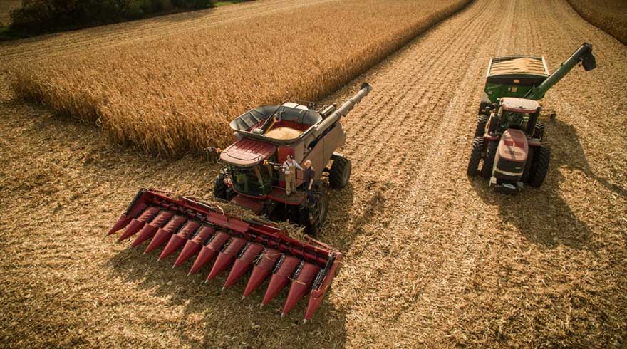 Managing Corn for Greater Yield Potential: 4 Lessons From 2021 NCGA ...