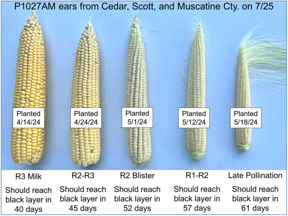 Day 3 | 2024 Pro Farmer Crop Tour | Pioneer® Seeds