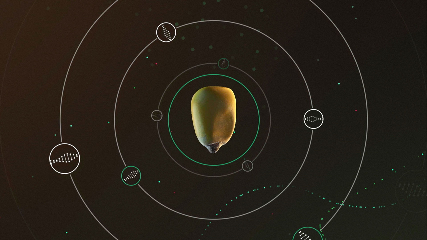 Corn Nitrogen Utilization | Pioneer® Seeds