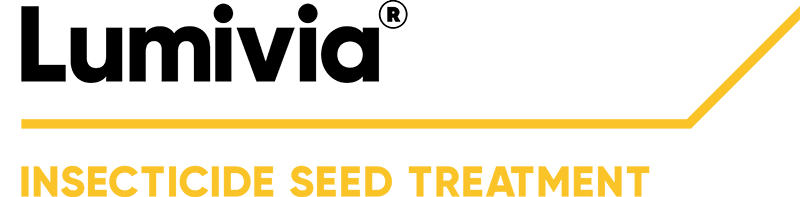 Corn Seed Treatments | Pioneer® Seeds